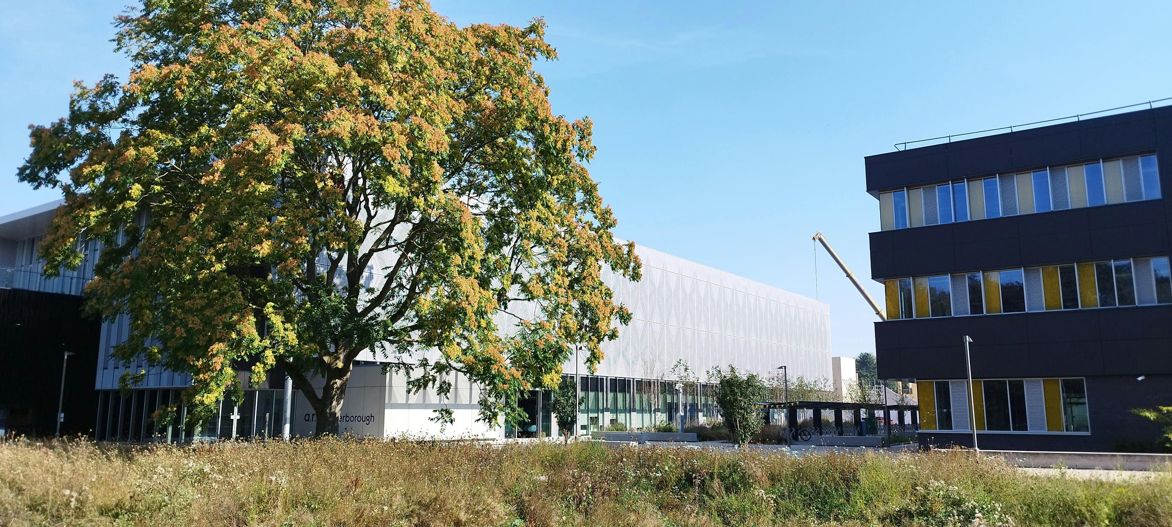 LUC completes landscape design for Phase 2 of ARU Peterborough's new ...