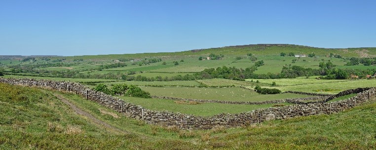 What are landscape designations? | LUC