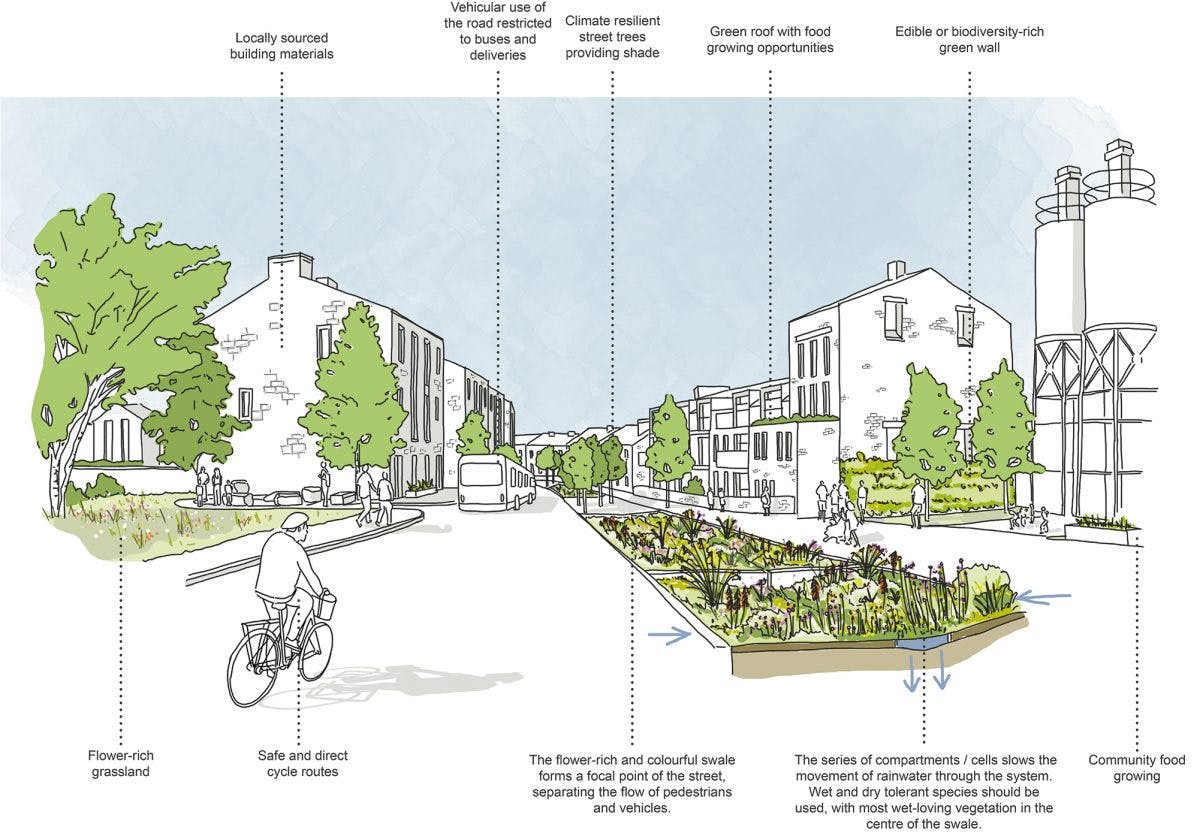 Nature-based solutions and climate change | LUC