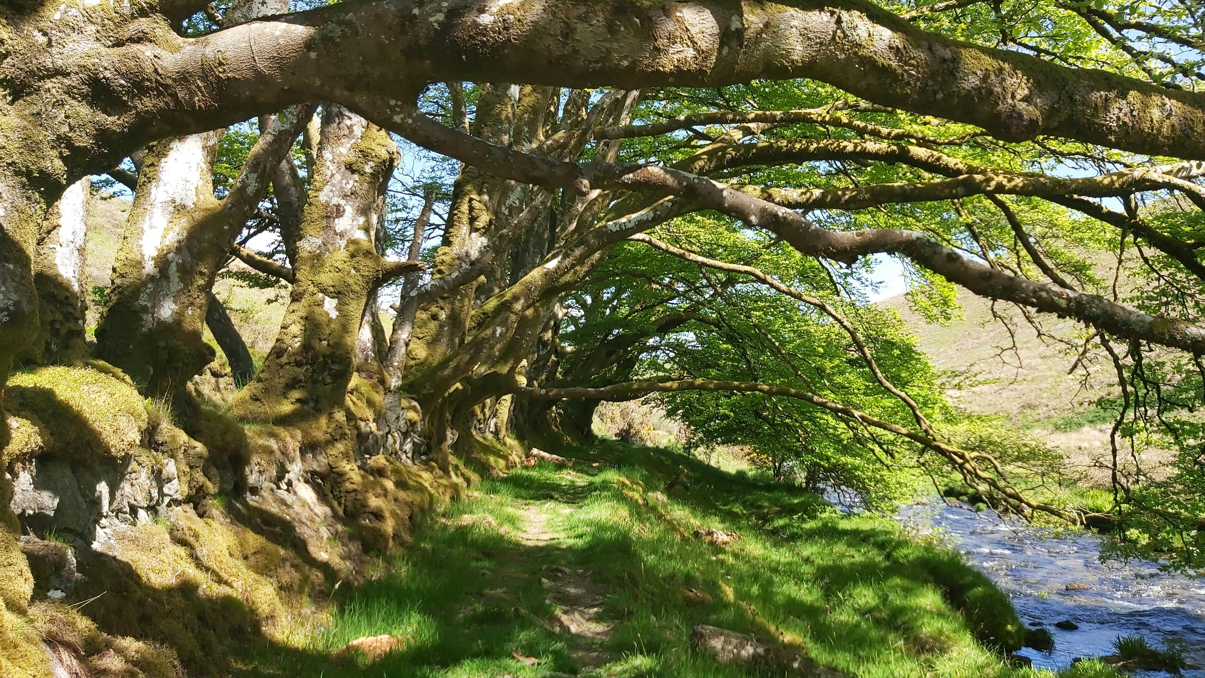 LUC producing All-England Strategic Landscape Mapping Assessment for ...