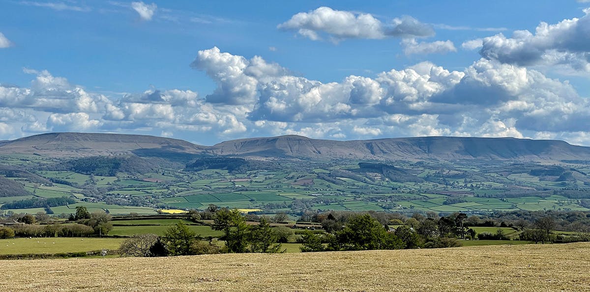 Why we should be increasing landscape resilience | LUC