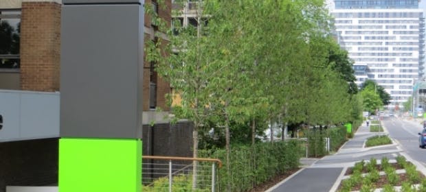 Second phase of landscape works at Basing View complete | LUC
