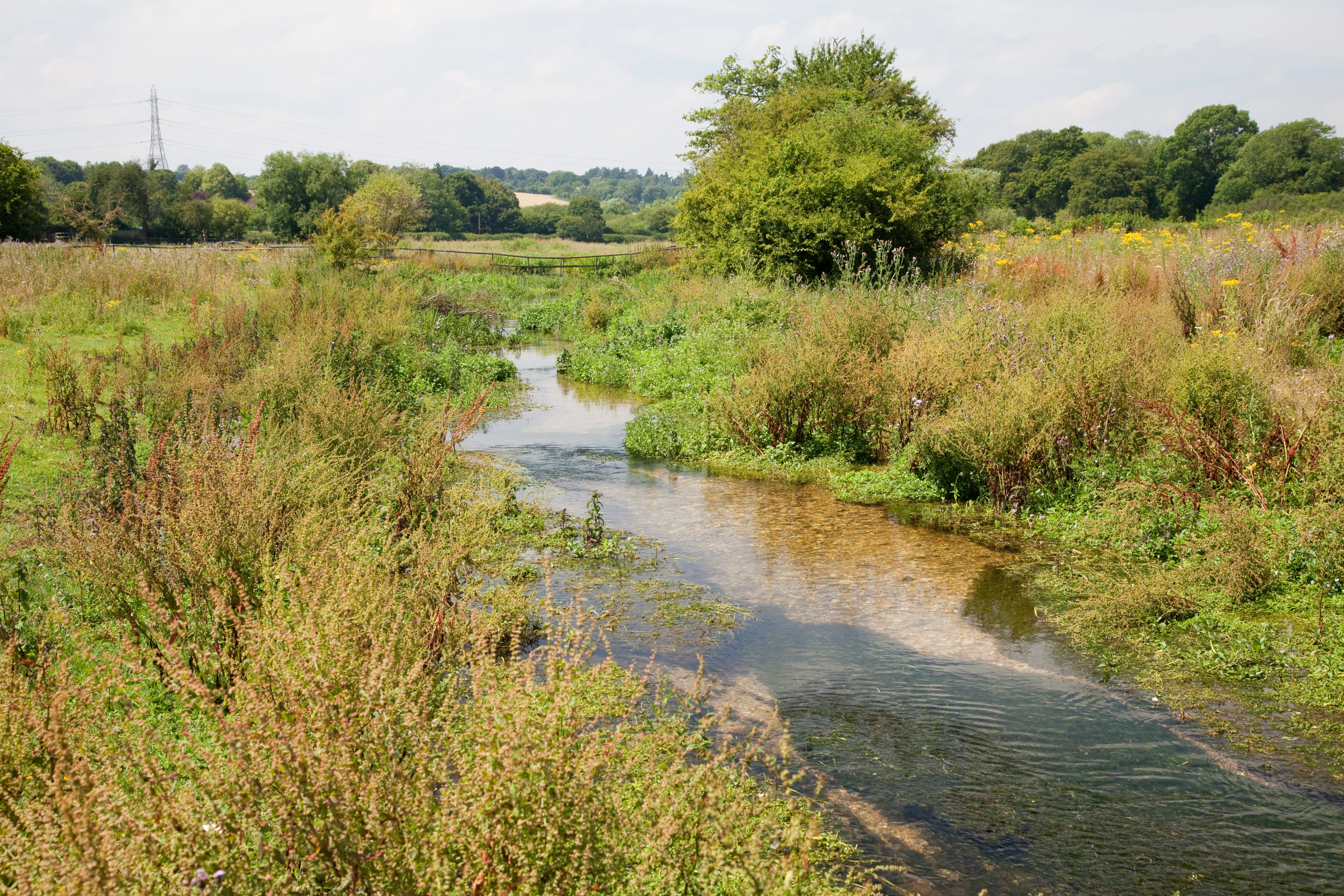 Protecting chalk streams: The need for stronger action | LUC