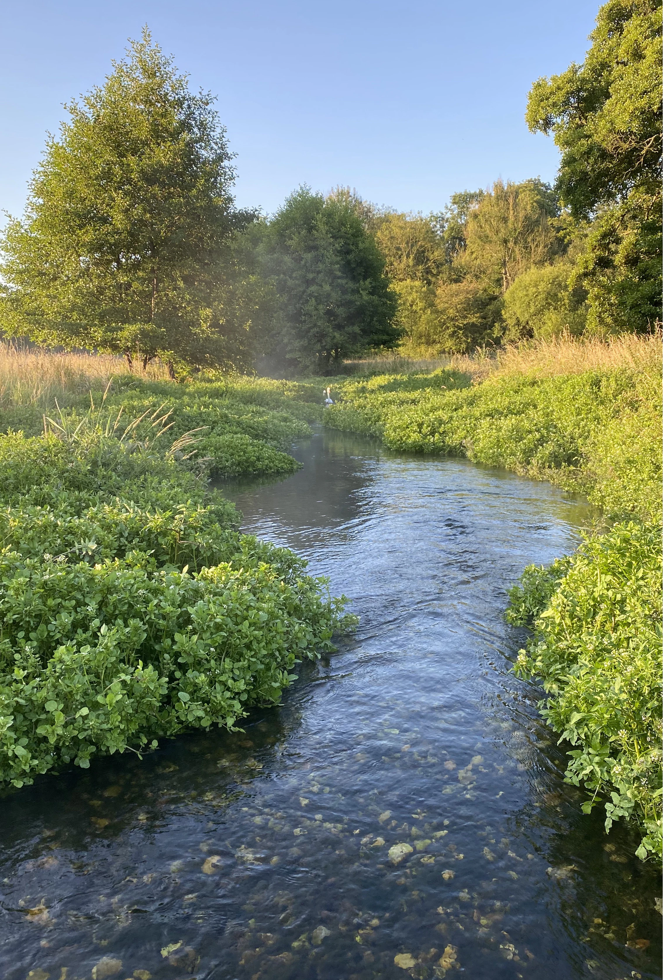 Protecting chalk streams: The need for stronger action | LUC