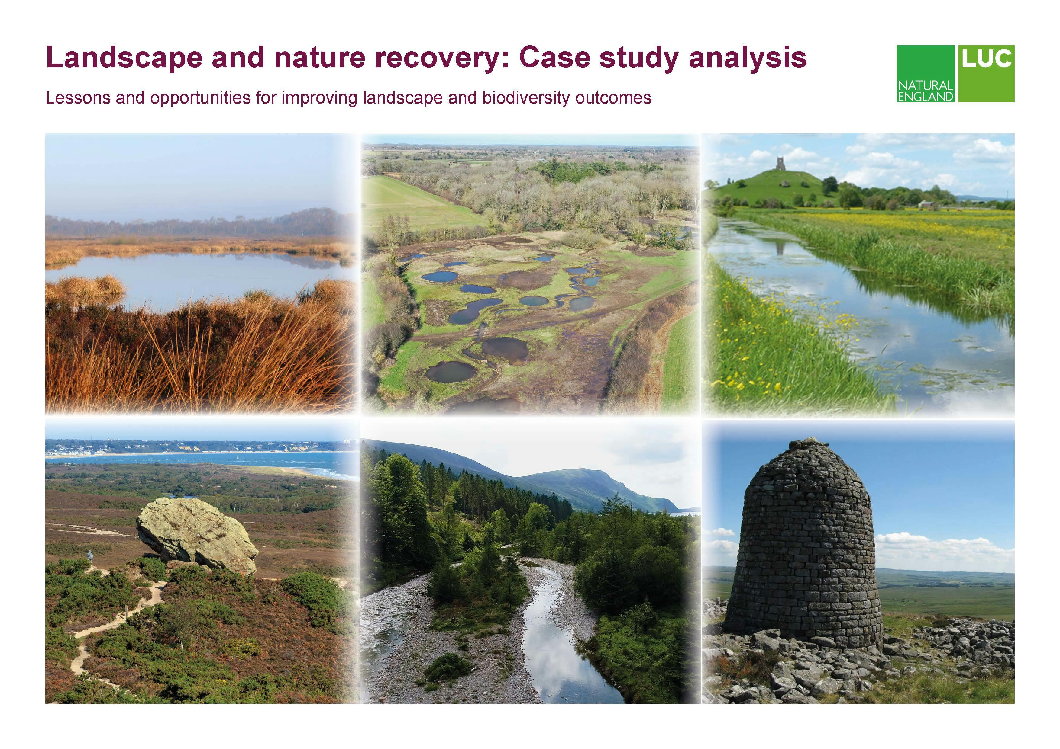 LUC supports Natural England landscape and nature recovery projects | LUC