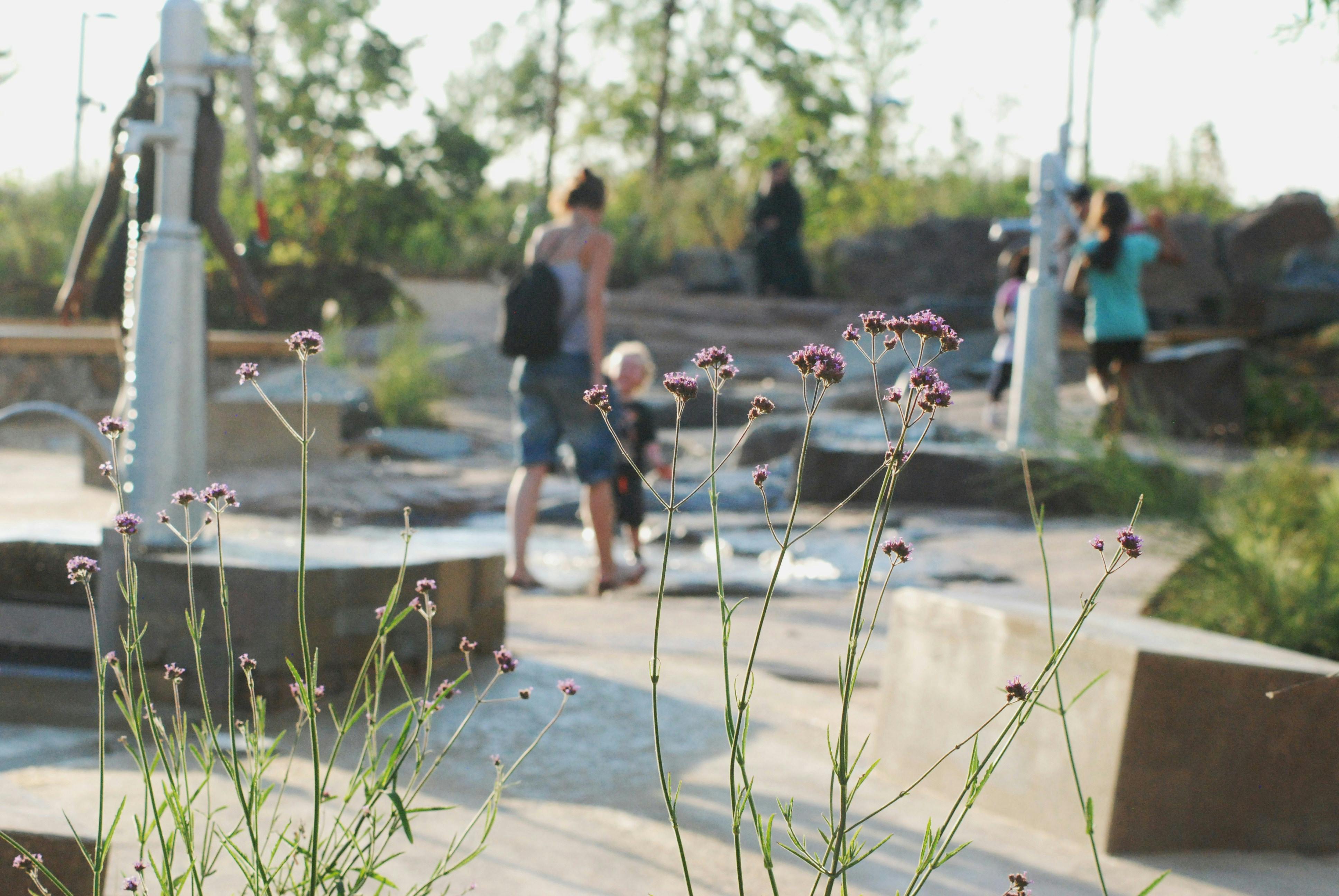 Natural England's Green Infrastructure Framework: A New Focus for Local ...