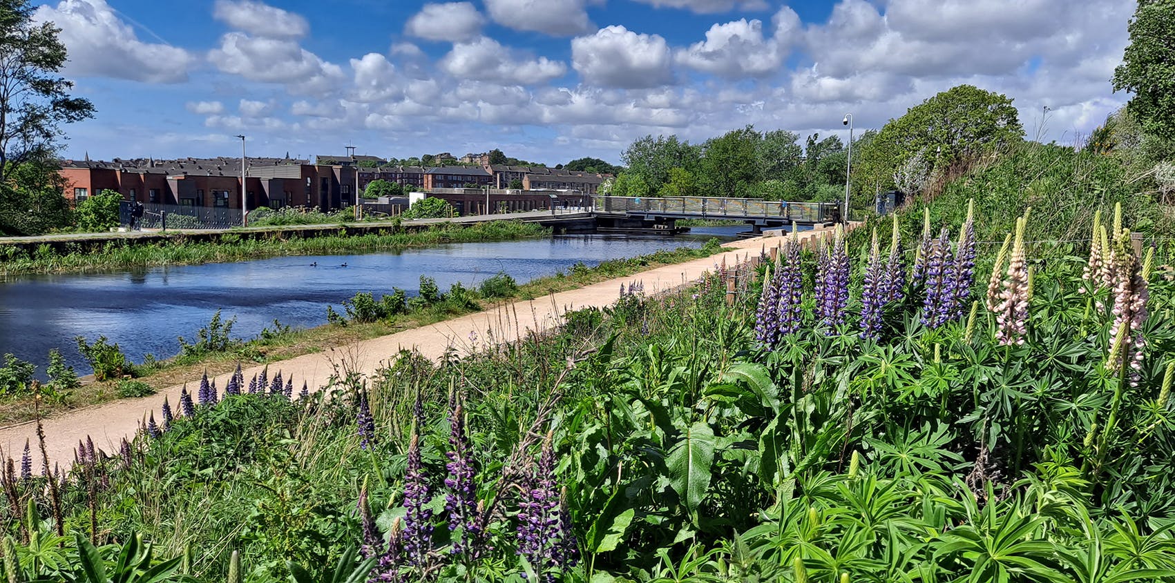 Green & Blue Infrastructure | LUC