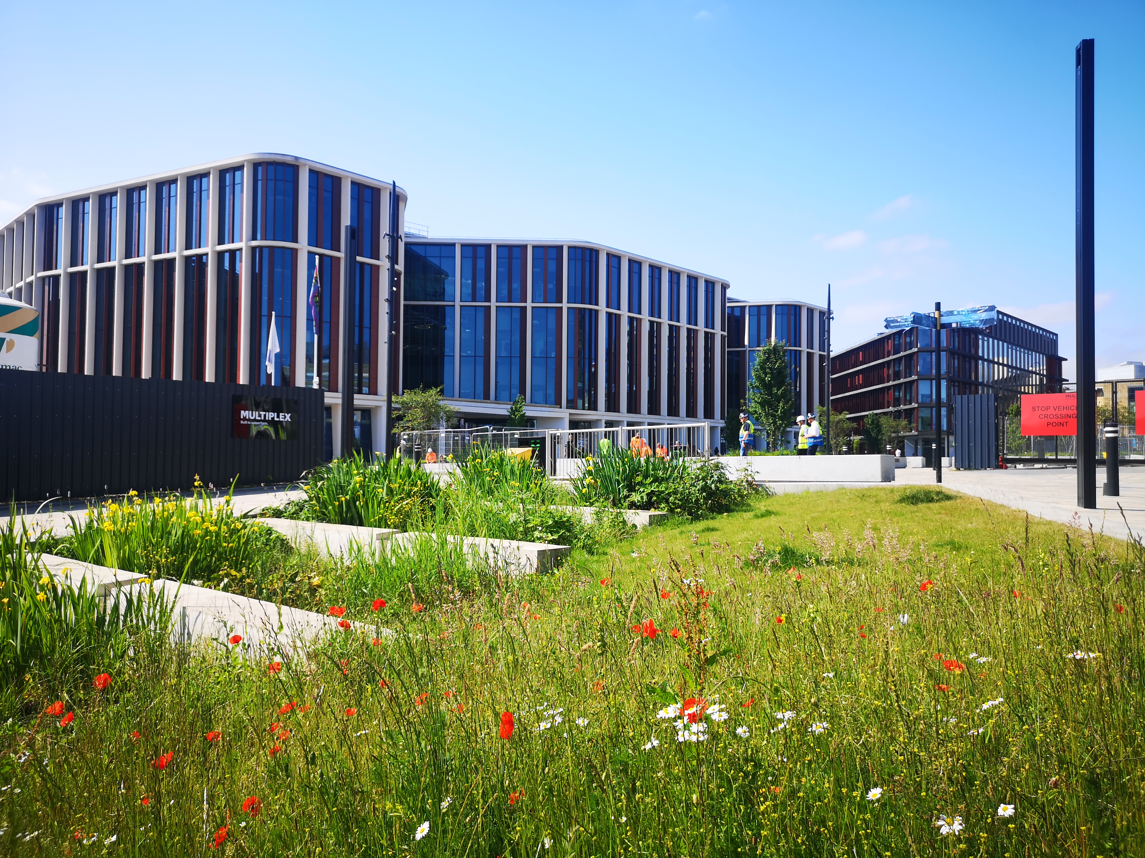 Wow! The LUC-designed rain gardens at @UofGlasgow are thriving in the ...