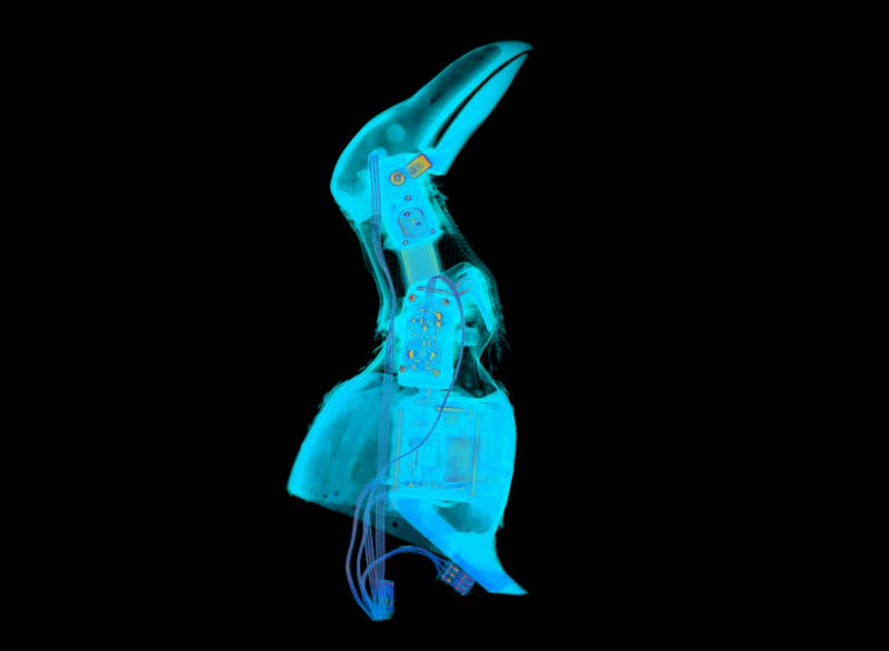 Looking inside an animatronic crow with Adam Savage