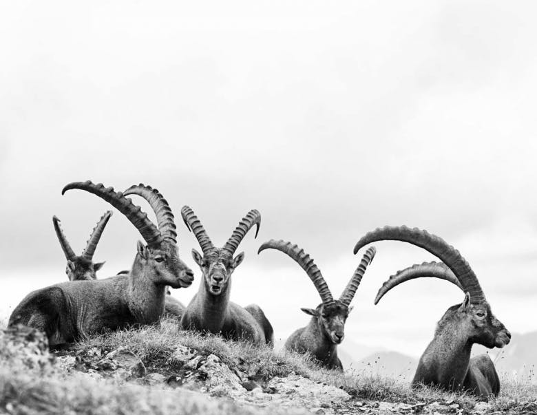 Peter Mathis BERGE - bewundert und benutzt | Lumen museum