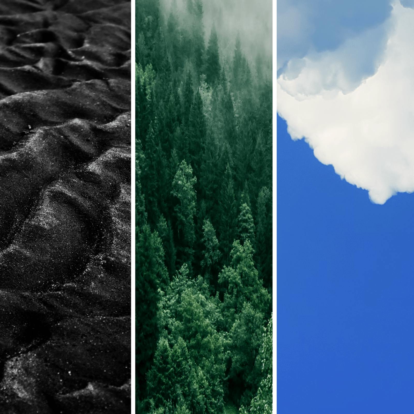 An overview of carbon offset project types: biochar to reforestation to ...