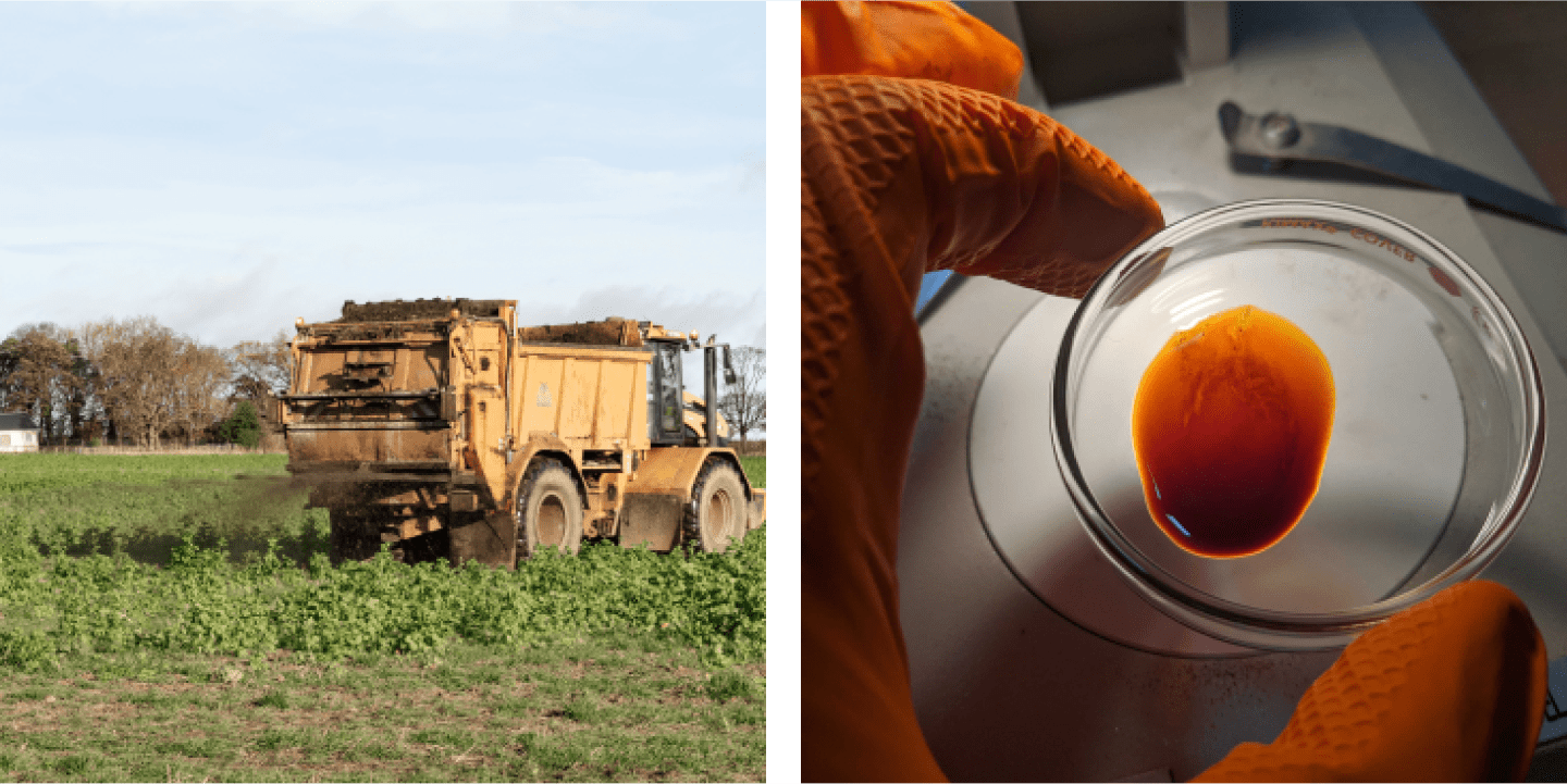 What is additionality in carbon offsetting? And why is it important?