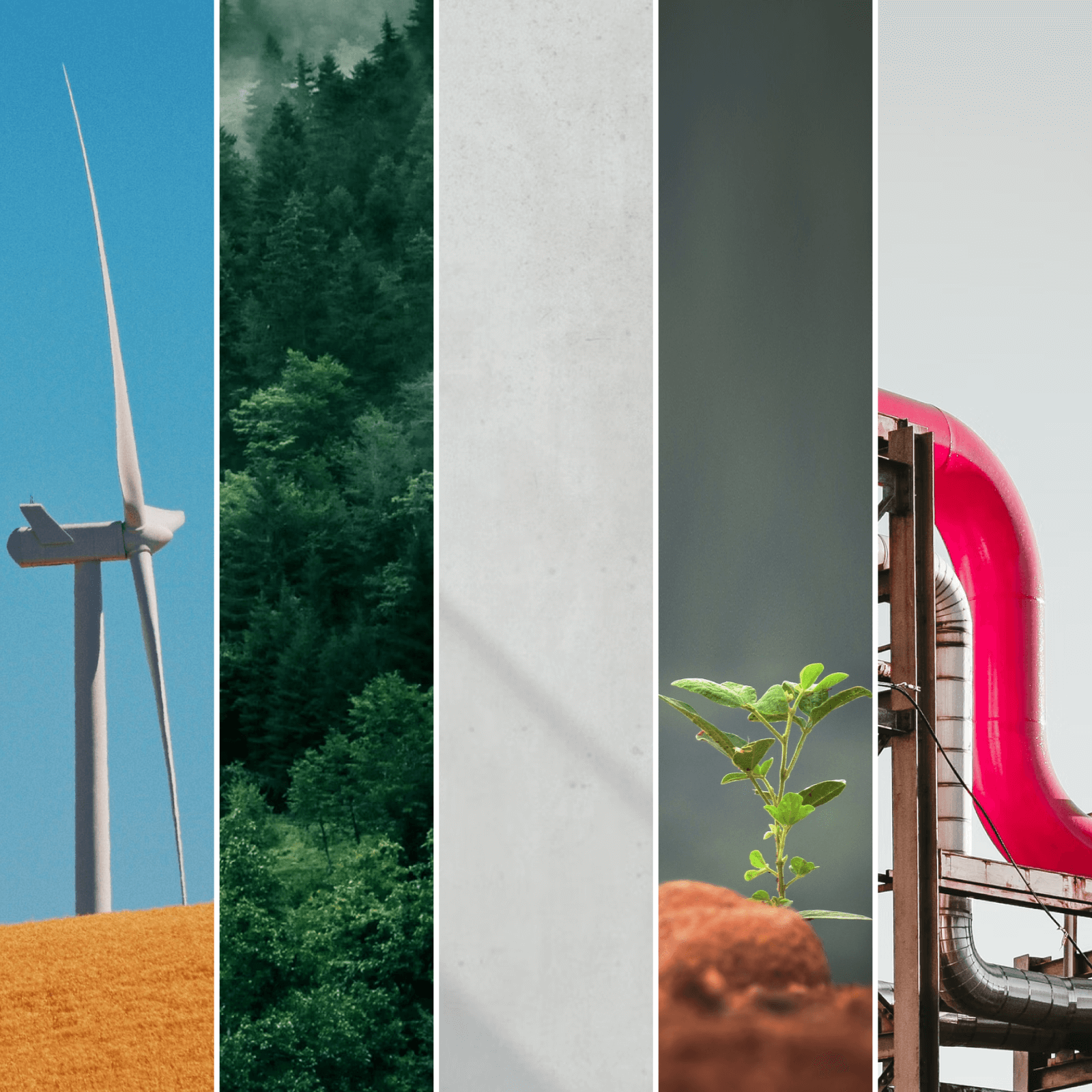 The Volkswagen greenwashing scandal – and how to avoid it in your ...