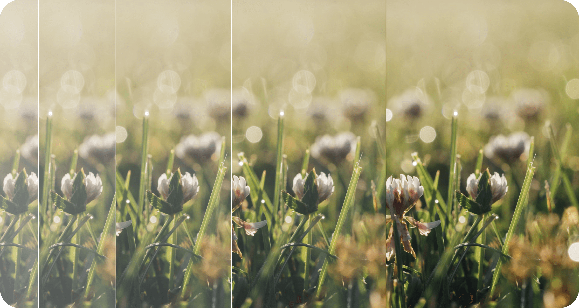 SBTi: What is beyond value chain mitigation (BVCM) strategy?