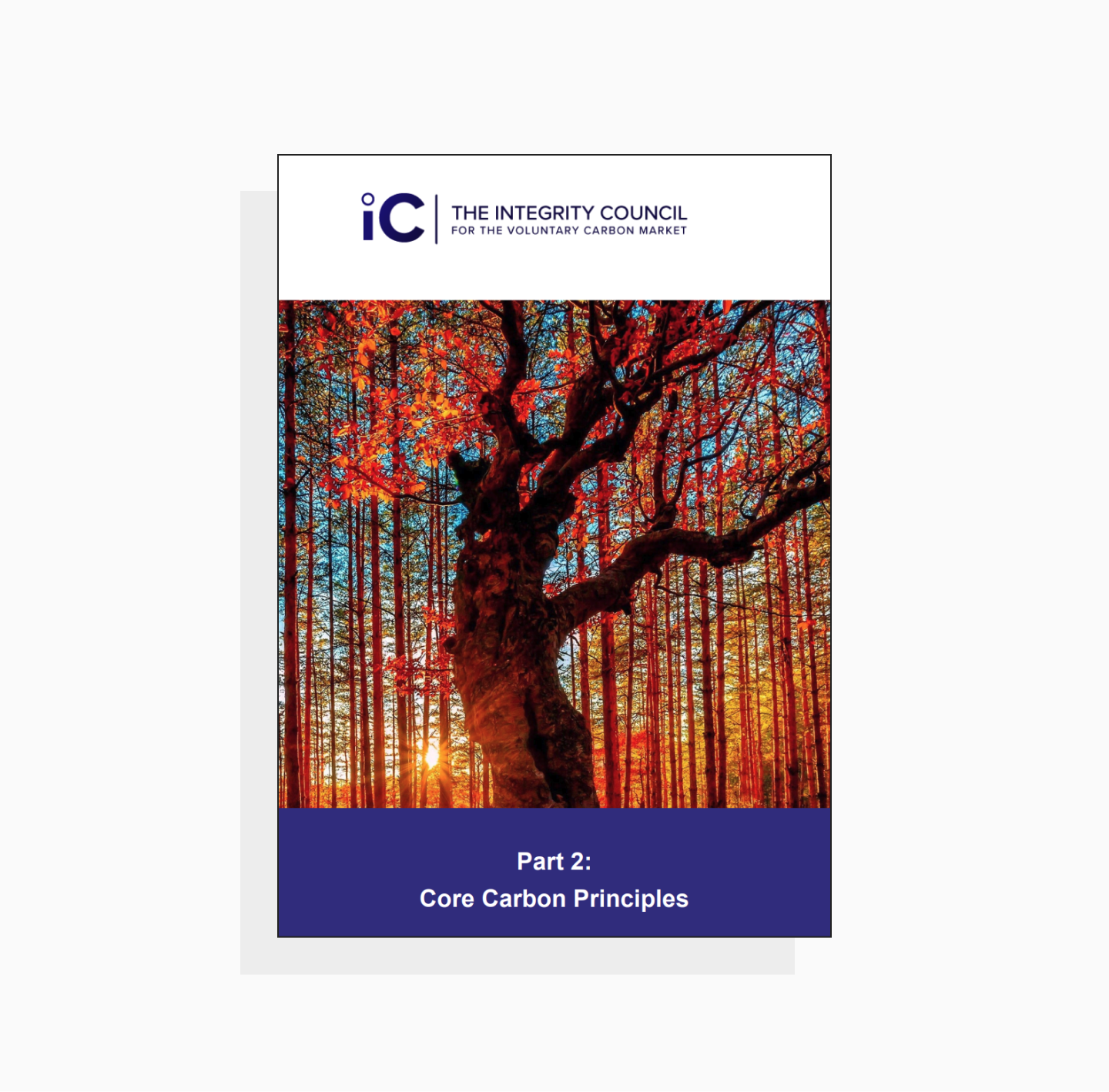 Improving the integrity of the voluntary carbon market: the ICVCM and ...