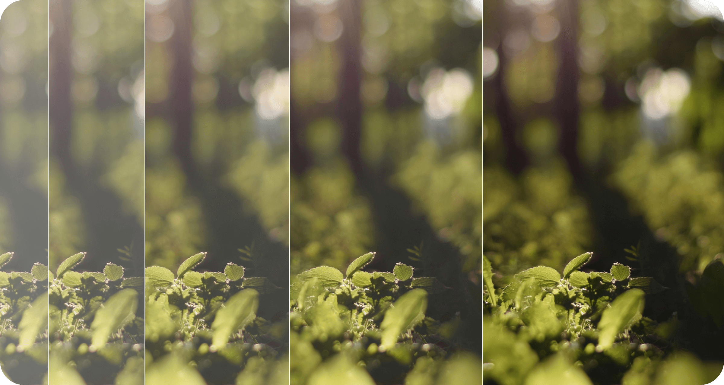 Will green demand collapse in 2025?