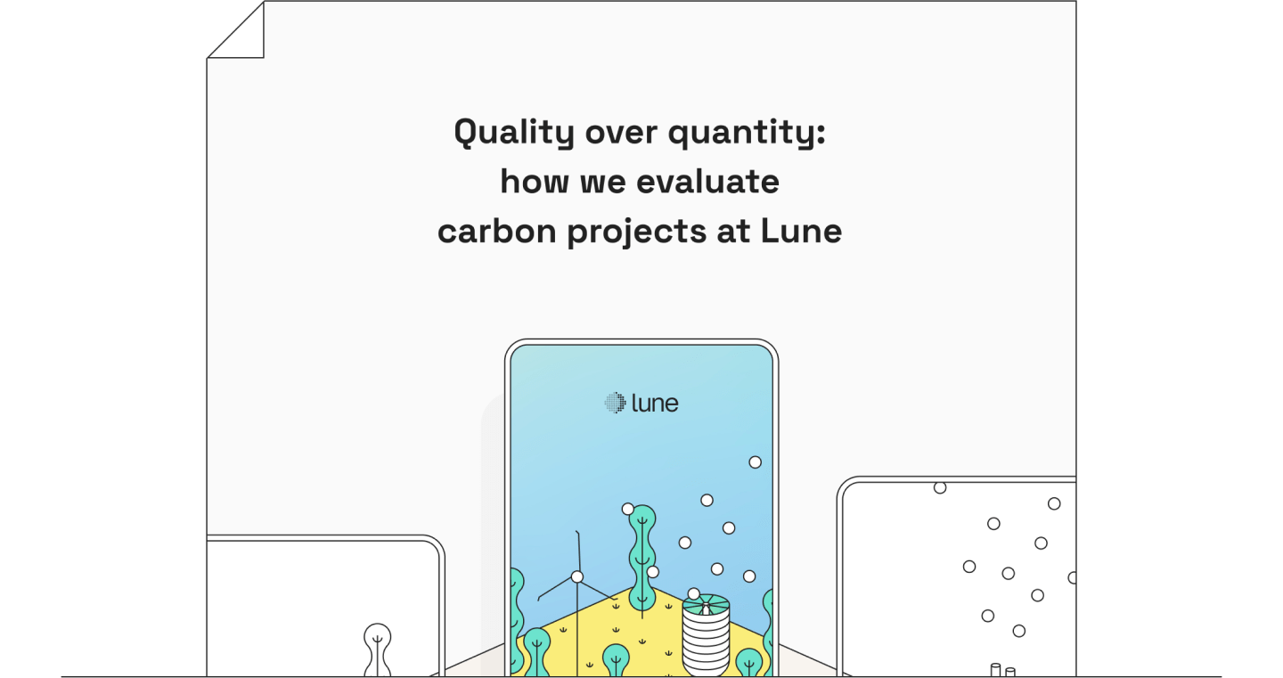 What is additionality in carbon offsetting? And why is it important?