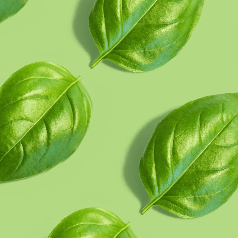 5 greenwashing trends to avoid in company carbon offsetting