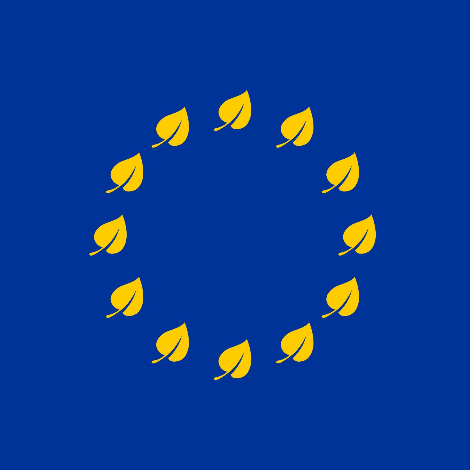 An overview of the EU Corporate Sustainability Reporting Directive ...