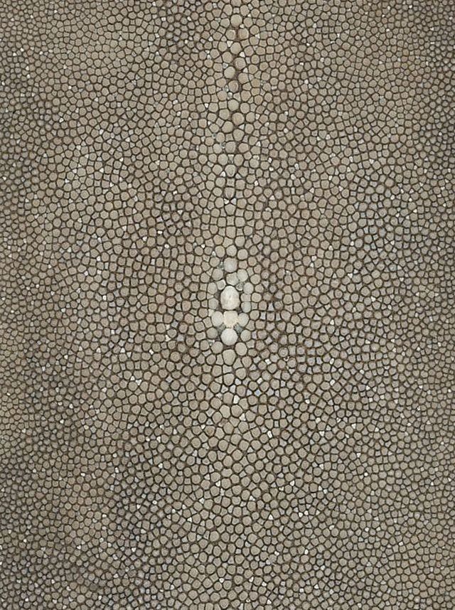 What Is Shagreen? | How to Decorate with Shagreen | LuxDeco