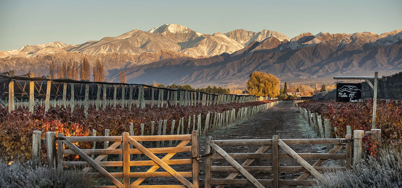 Cheval des Andes, Andes Grand Cru - Wines & Spirits - LVMH