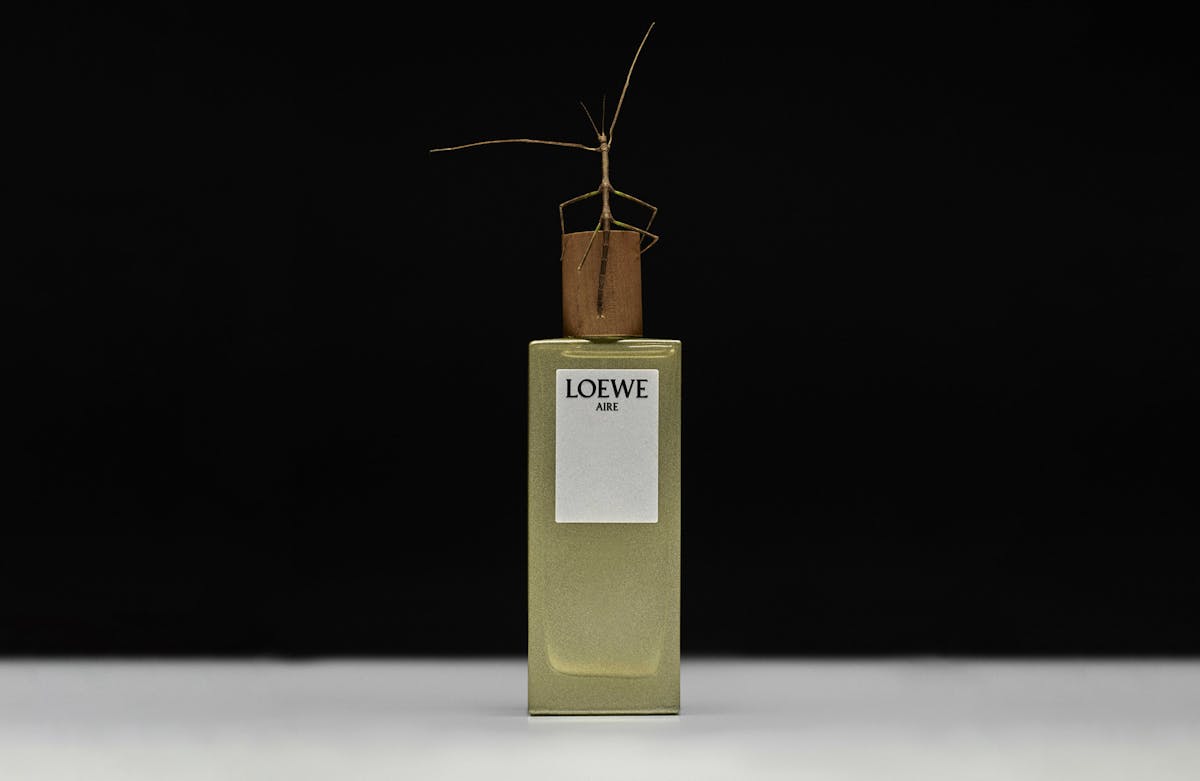 Loewe Perfumes - LVMH