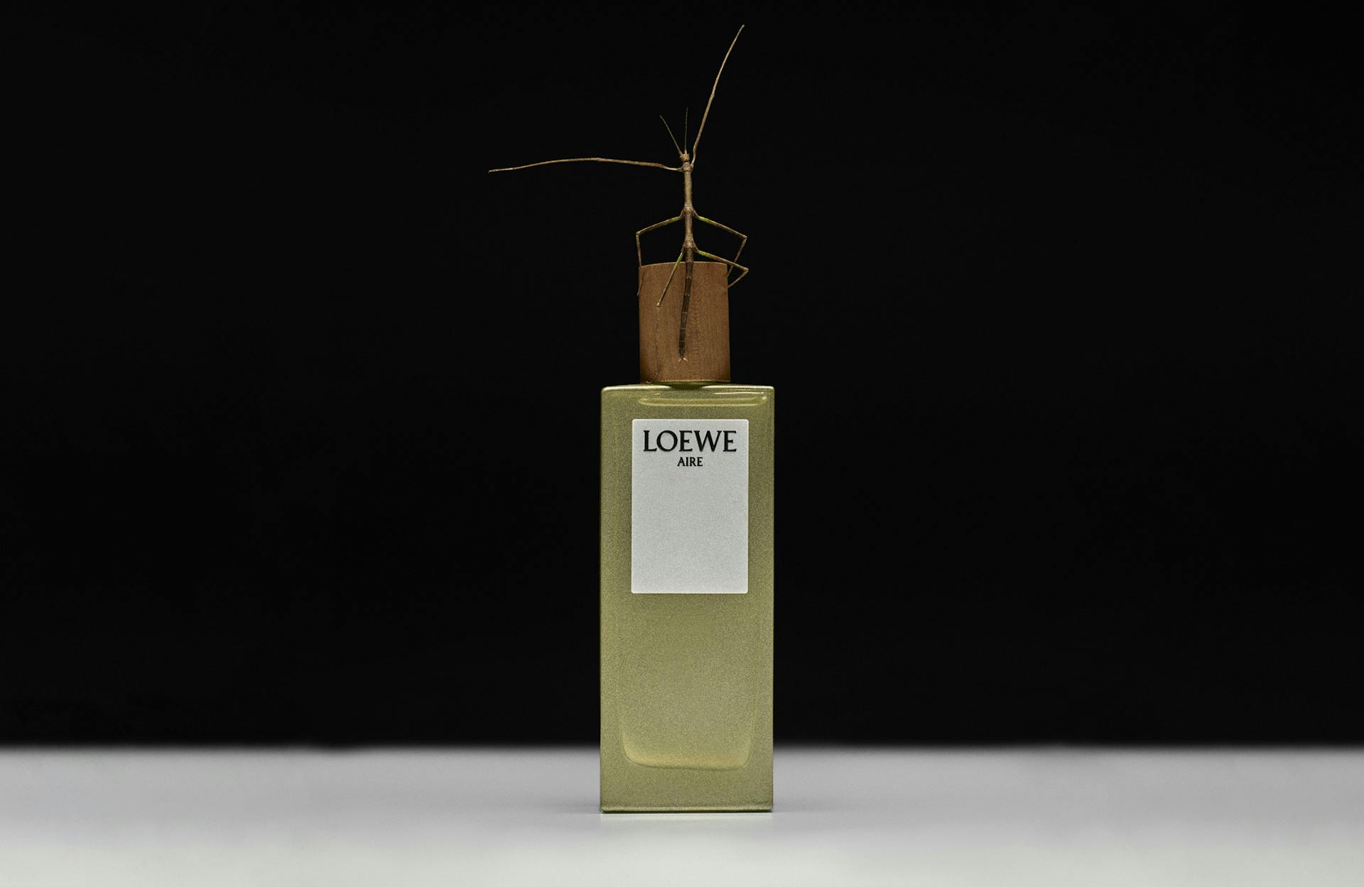 Loewe Perfumes - LVMH