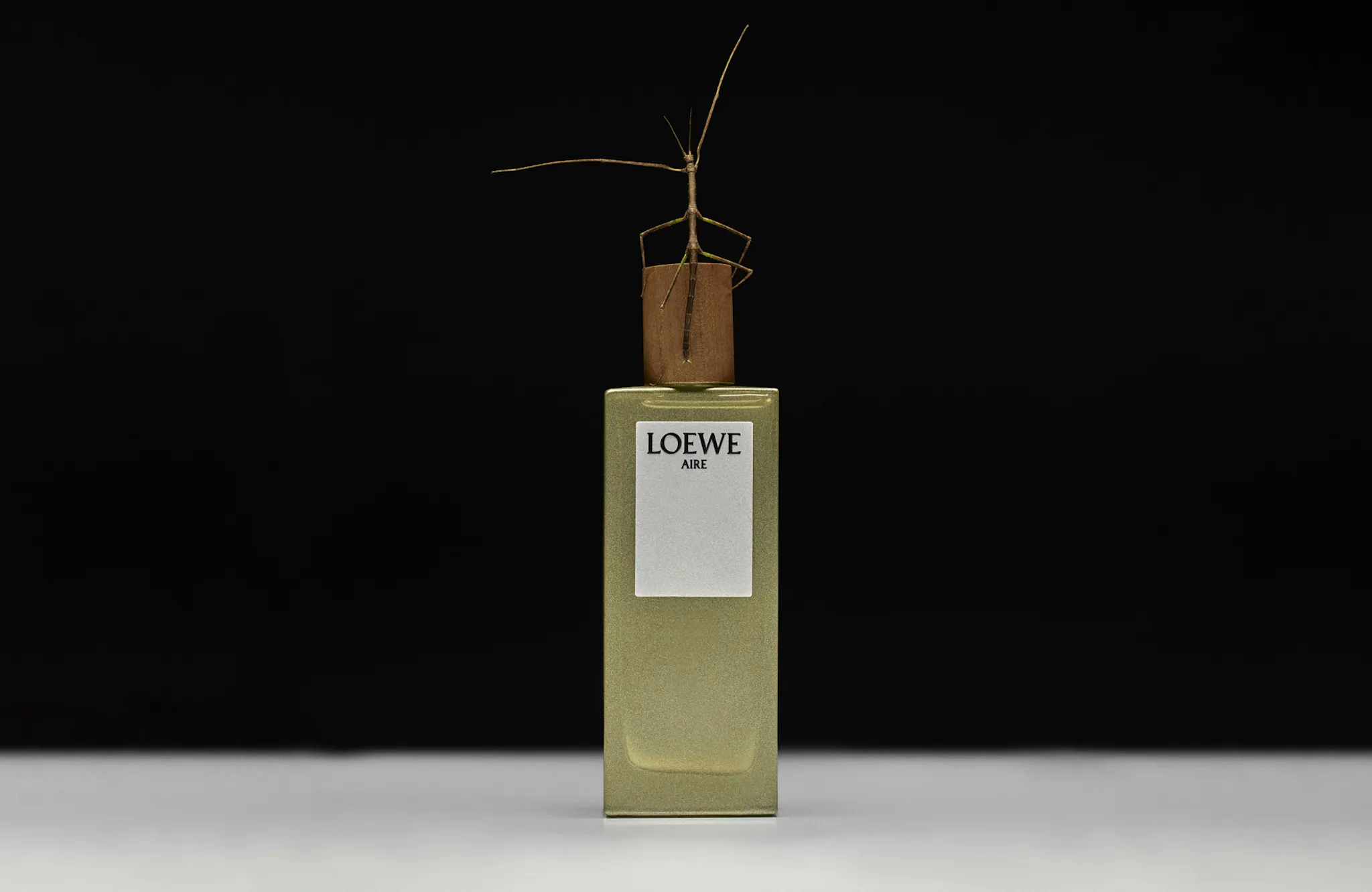Loewe Perfumes - LVMH