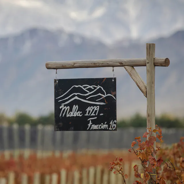 Cheval des Andes, Andes Grand Cru - Wines & Spirits - LVMH