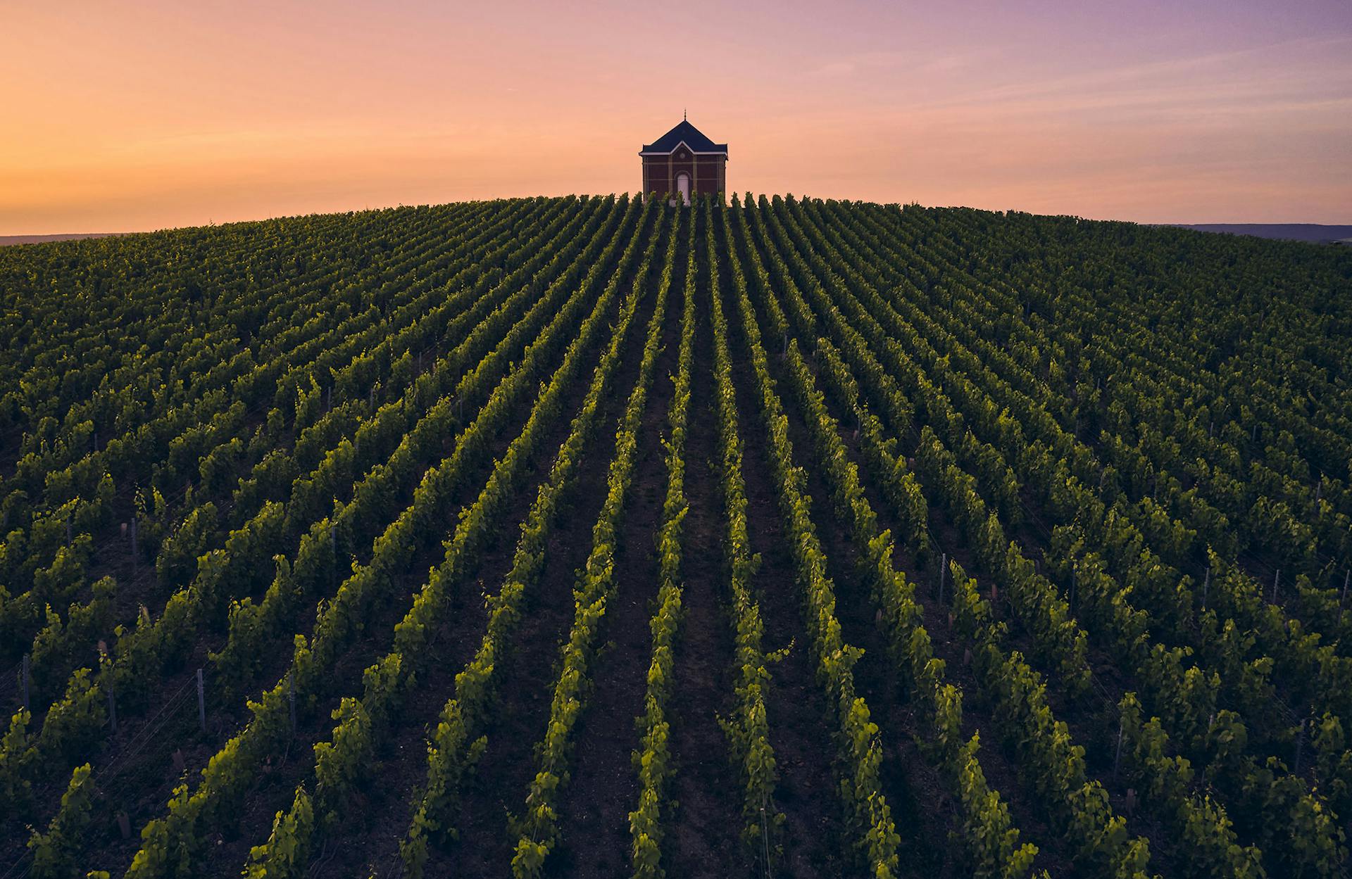 Moët & Chandon - Wines & Spirits - LVMH