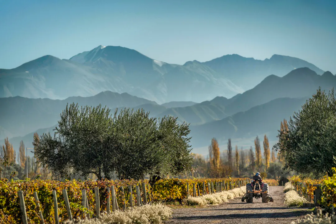Cheval des Andes, Andes Grand Cru - Wines & Spirits - LVMH