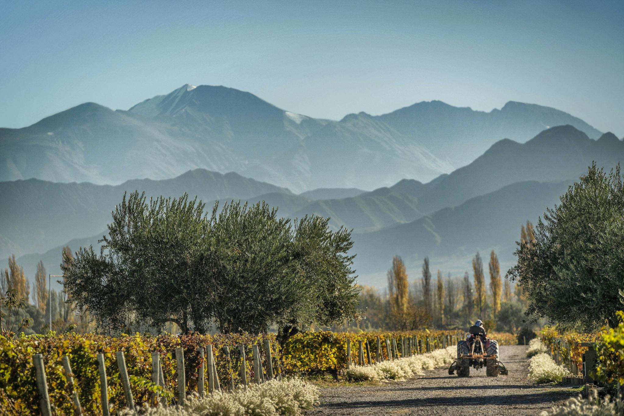 Cheval des Andes, Andes Grand Cru - Wines & Spirits - LVMH