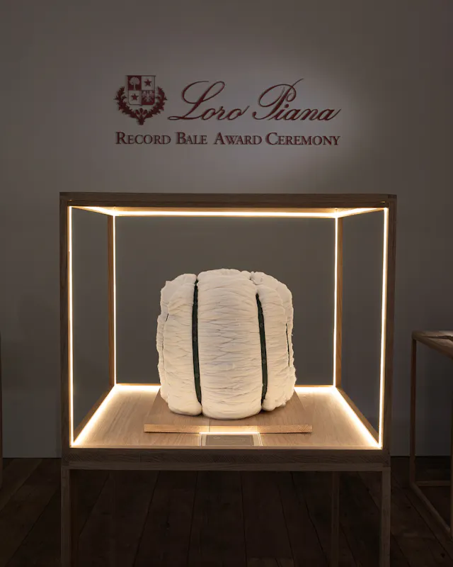 Loro Piana announces new world record for exceptio... - LVMH