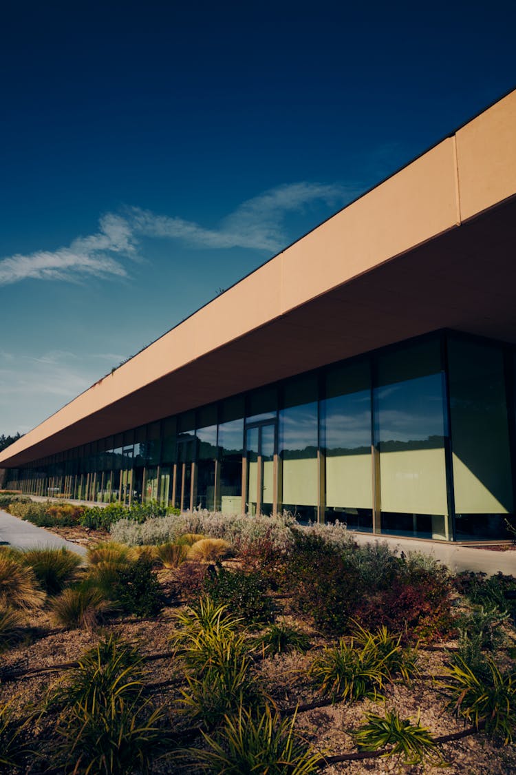 Research & innovation - LVMH