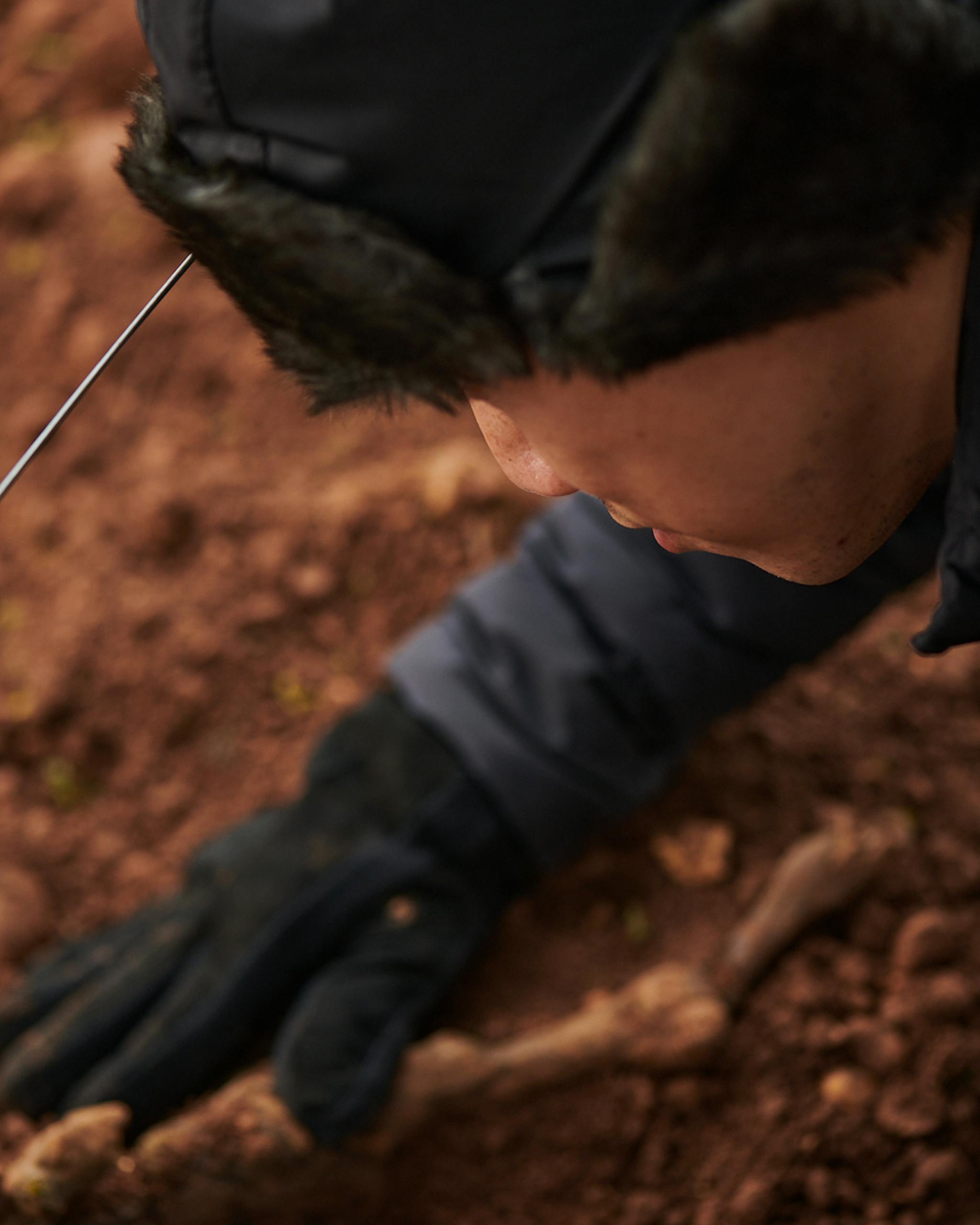 Domaine Chandon China, sparkling wines - Wines & S... - LVMH