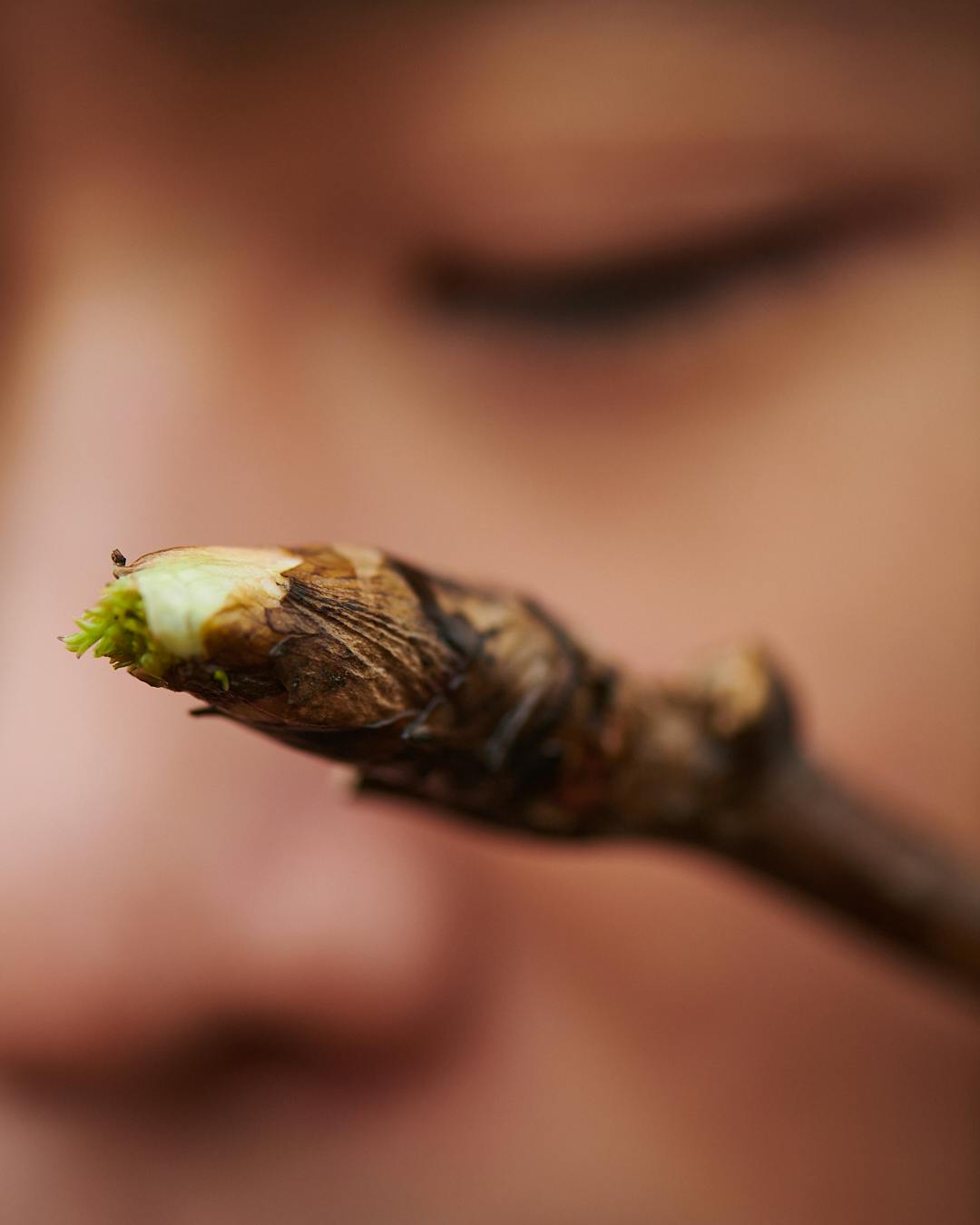 Domaine Chandon China, sparkling wines - Wines & S... - LVMH