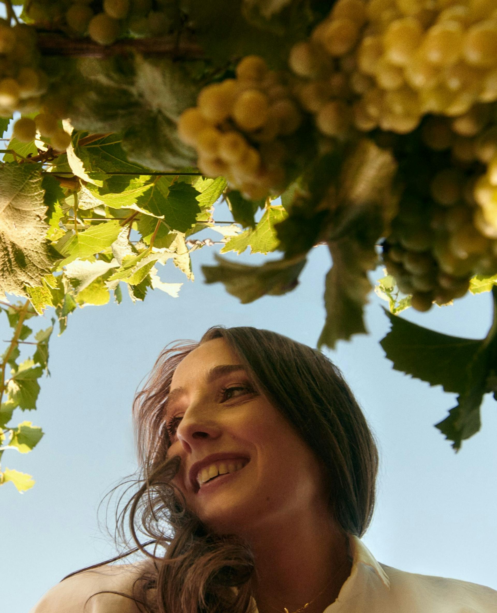 Domaine Chandon California, sparkling wines - Wine... - LVMH