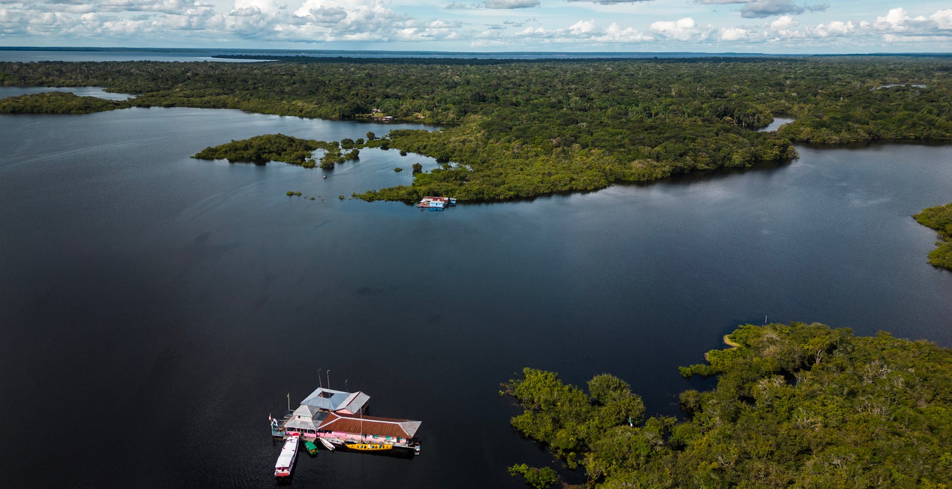 LVMH takes new steps to strengthen biodiversity pr... - LVMH