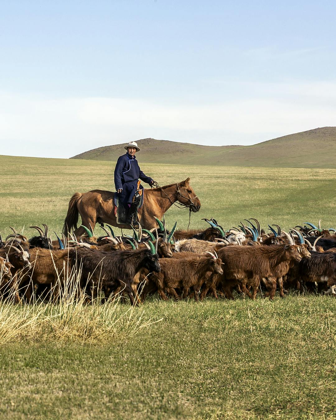 With the "Resilient Threads" program, Loro Piana s... - LVMH