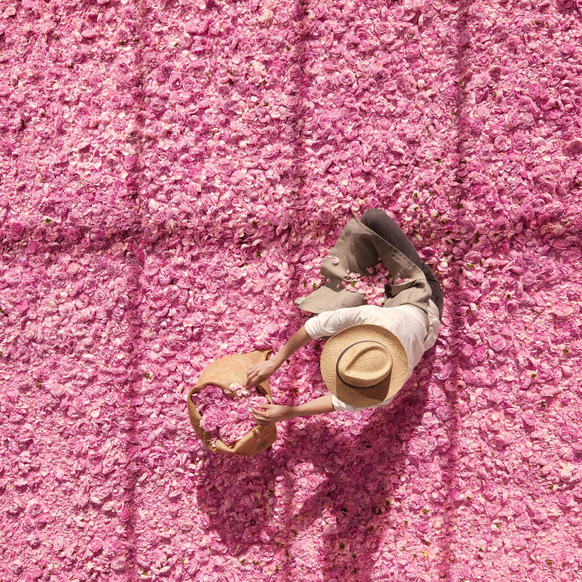 Parfums Christian Dior - LVMH