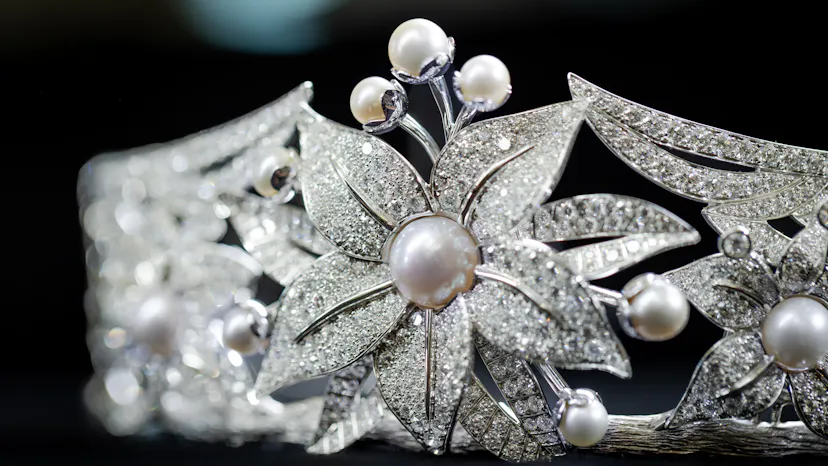 Chaumet unveils its “Houbara Haven Tiara”, created... - LVMH