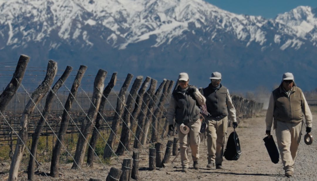 LVMH Graduate Programs - LVMH