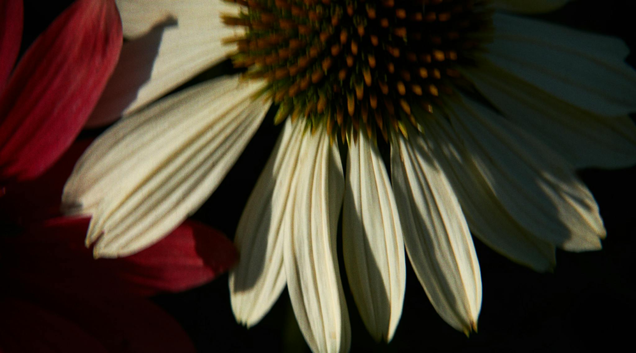 Perfumes & Cosmetics - LVMH