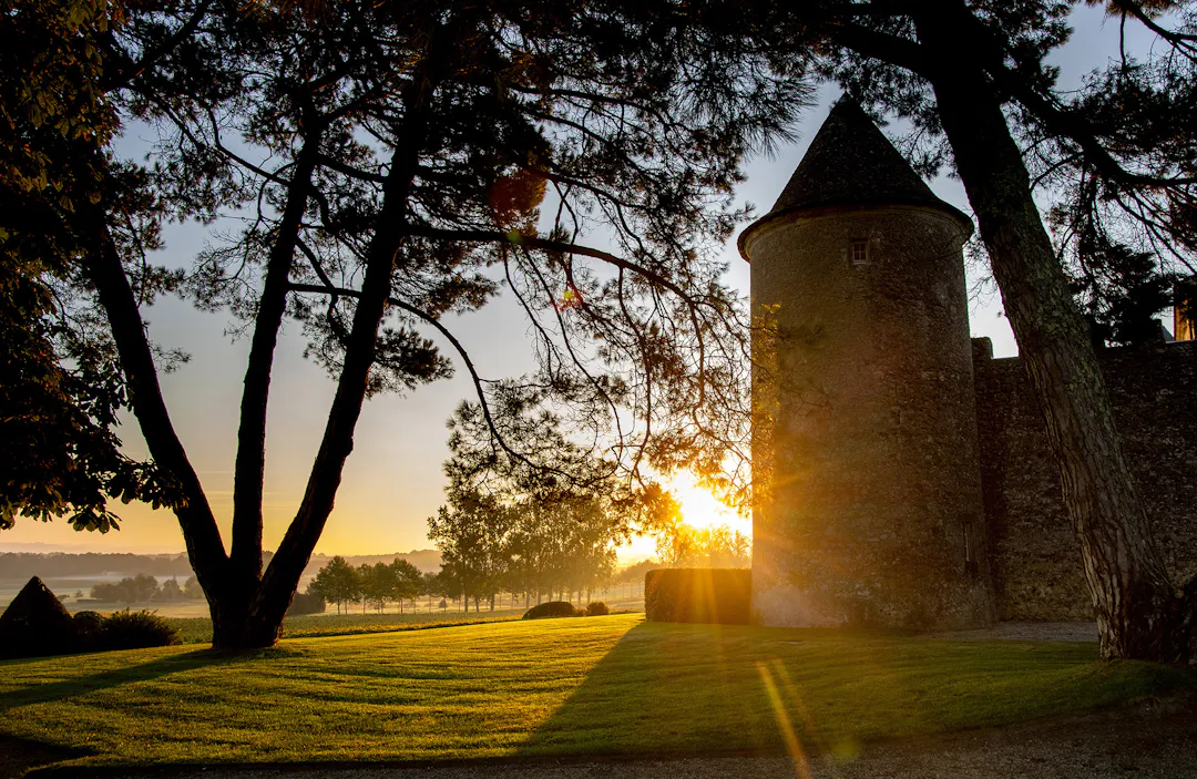 Château d'Yquem、ソーテルヌのプレミア･クリュ - ワイン＆スピリッツ - LVMH