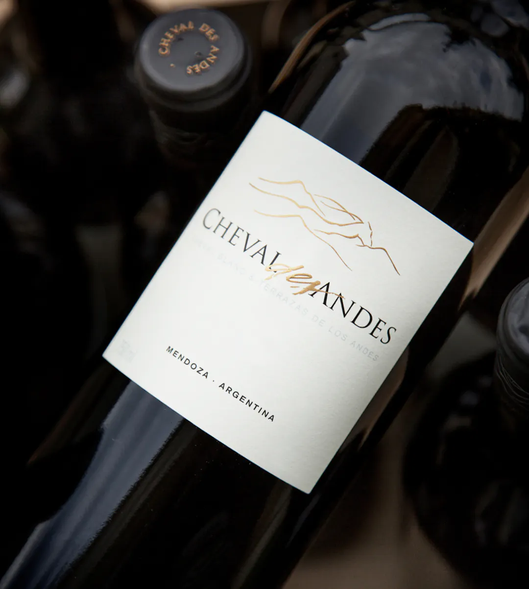 Cheval des Andes, Andes Grand Cru - Wines & Spirits - LVMH