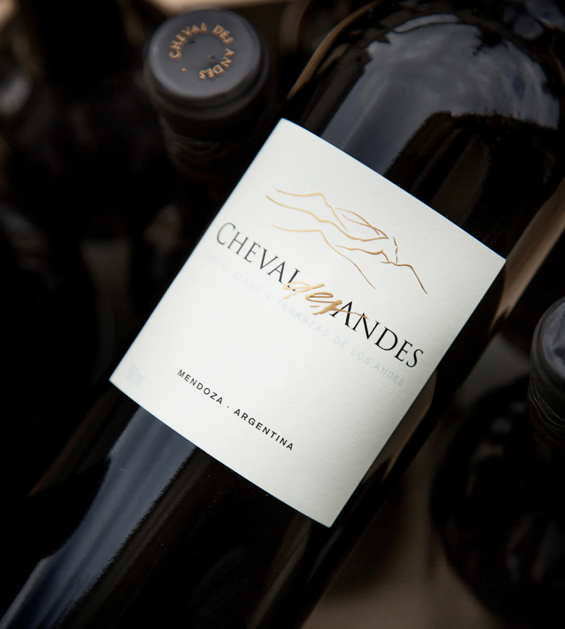 Cheval des Andes, Andes Grand Cru - Wines & Spirits - LVMH