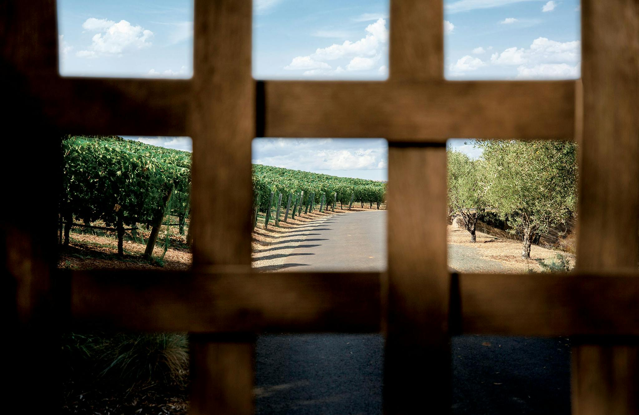 Colgin Cellars - Wines & Spirits - LVMH