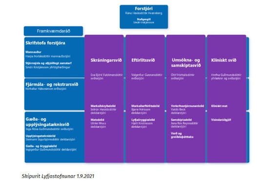 Skipulag og stjórnun - Ársskýrsla Lyfjastofnunar 2021