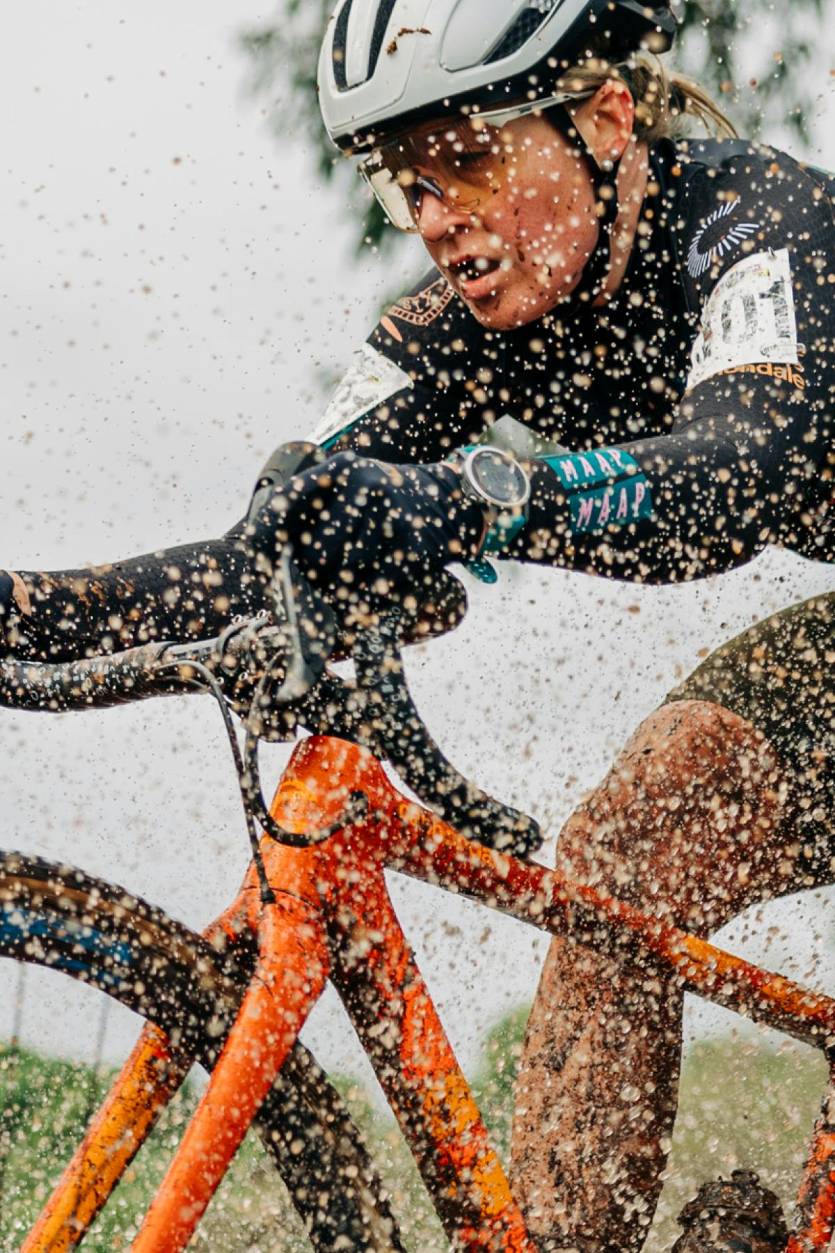 Universal Pursuits | MAAP