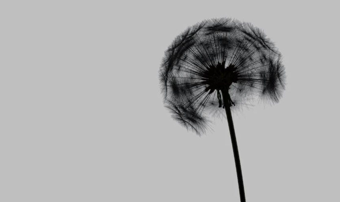 MADE | Made Journey Model